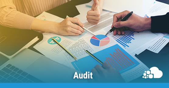 Audit Informatique PME, un exemple pour mieux comprendre | WANDesk